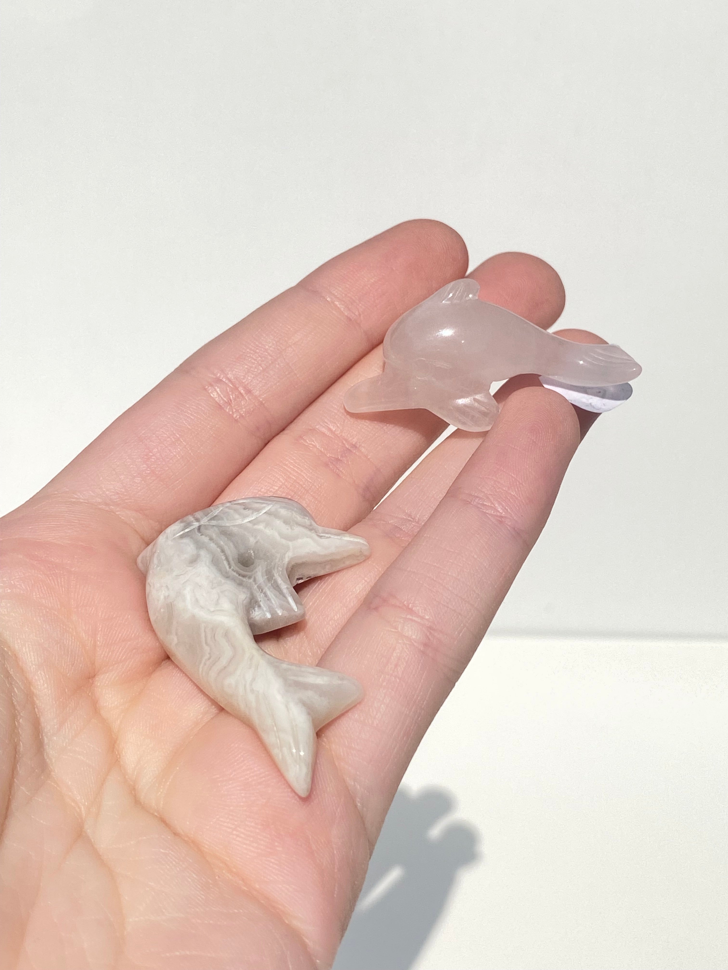 Mini Dolphin – Chance Quartz